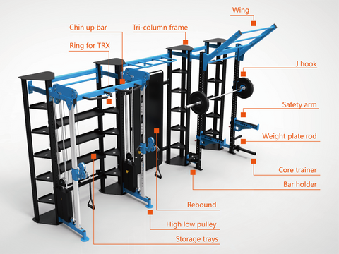 FANATICS Wall Rig Functional Training Rack FT9045 – FANATICS-FITNESS
